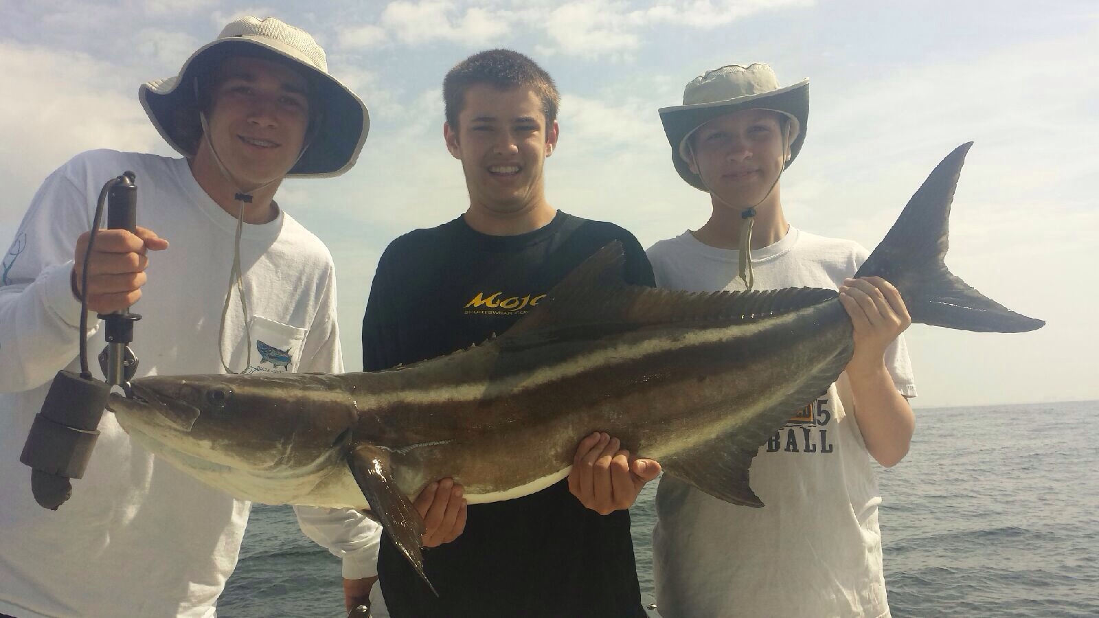Cobia | Shallow Water Expeditions