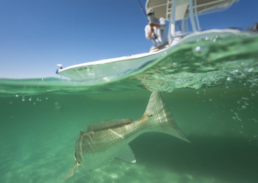 30A Beaches on FIRE, Jacks and Redfish | Shallow Water Expeditions